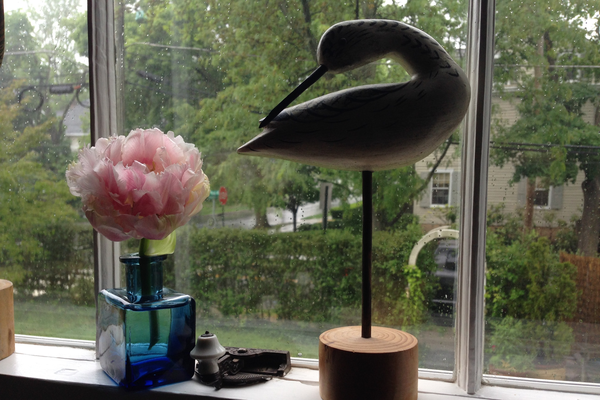 Princeton University | Off Campus Housing Search