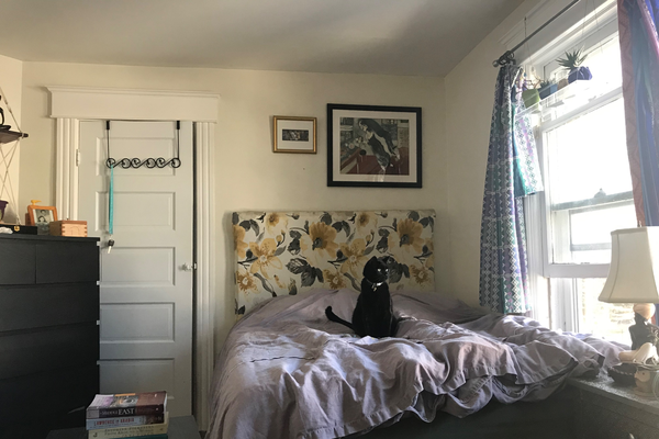 Princeton University | Off Campus Housing Search