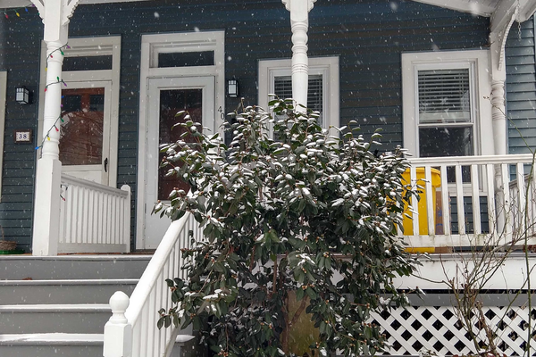 Princeton University | Off Campus Housing Search